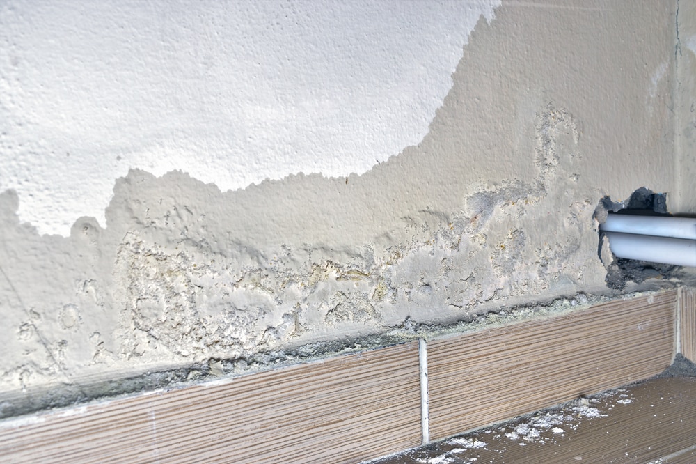 Damp Issues Kempton Carr Croft Damp Issues Kempton Carr Croft